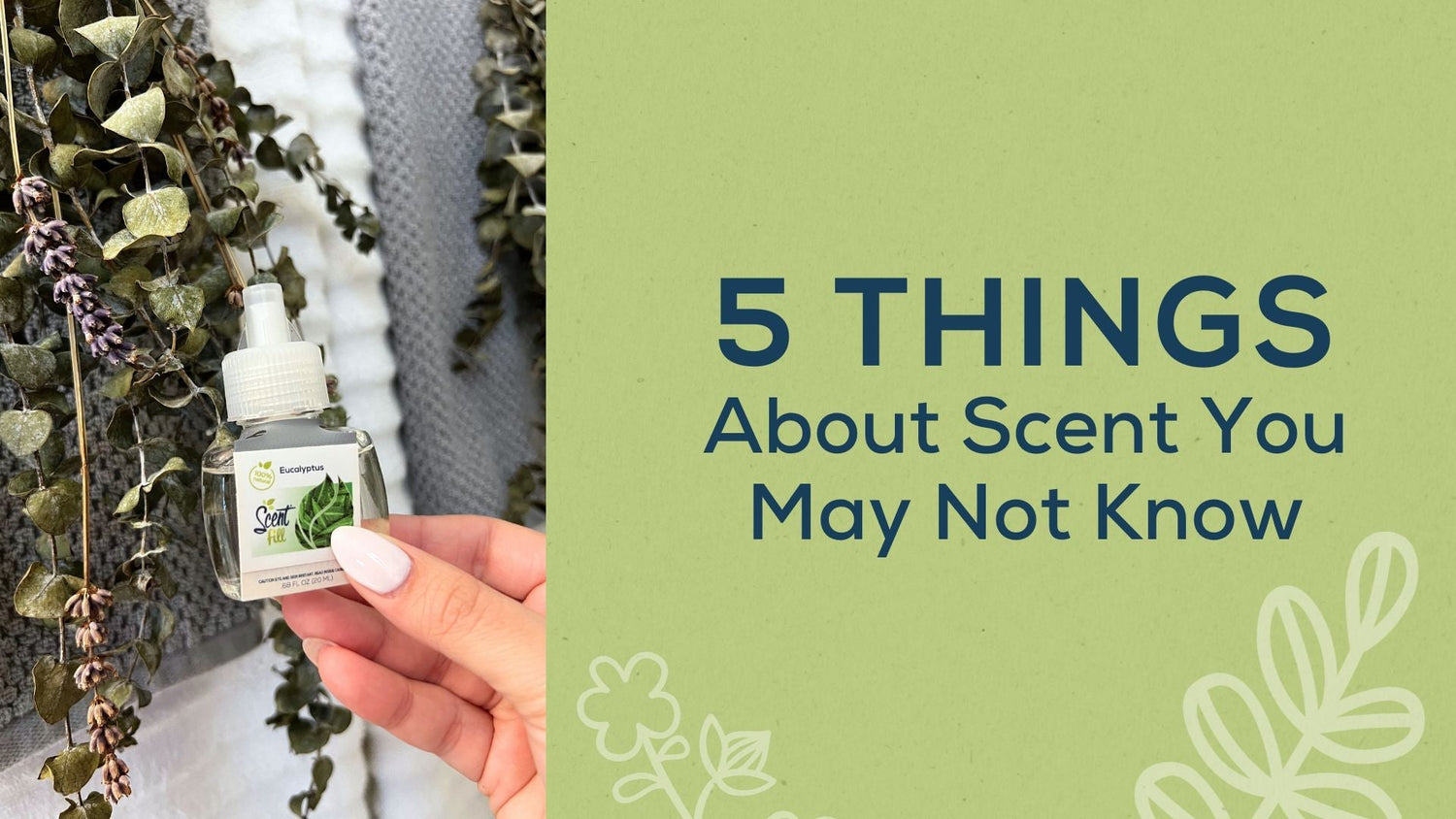 5 Surprising Facts About Scent That Will Blow Your Mind – Scent Fill